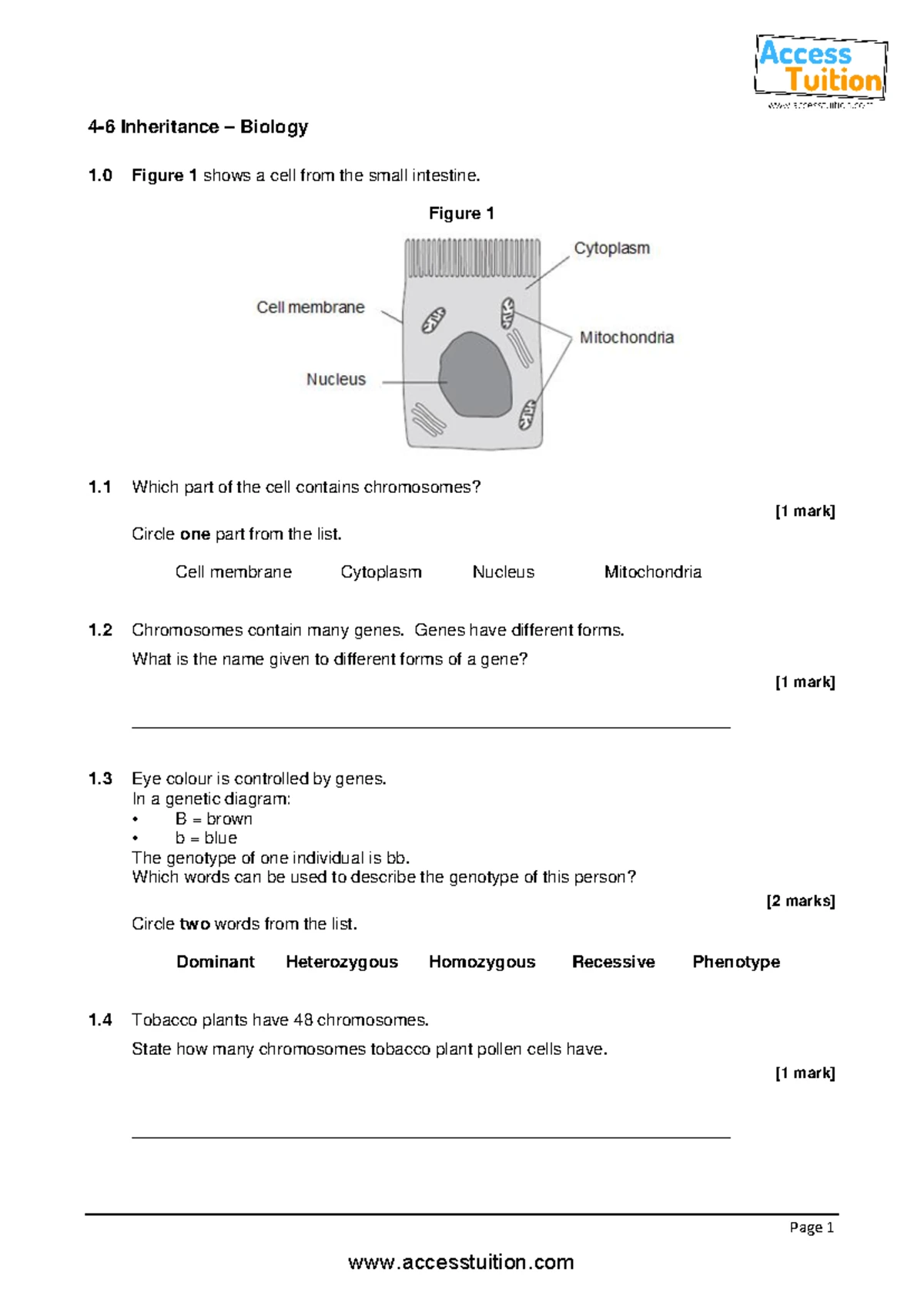 Ionic and Half Equations Practice Questions for Chemistry 101 - Studocu