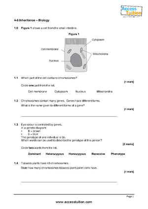 Ionic and Half Equations Practice Questions for Chemistry 101 - Studocu