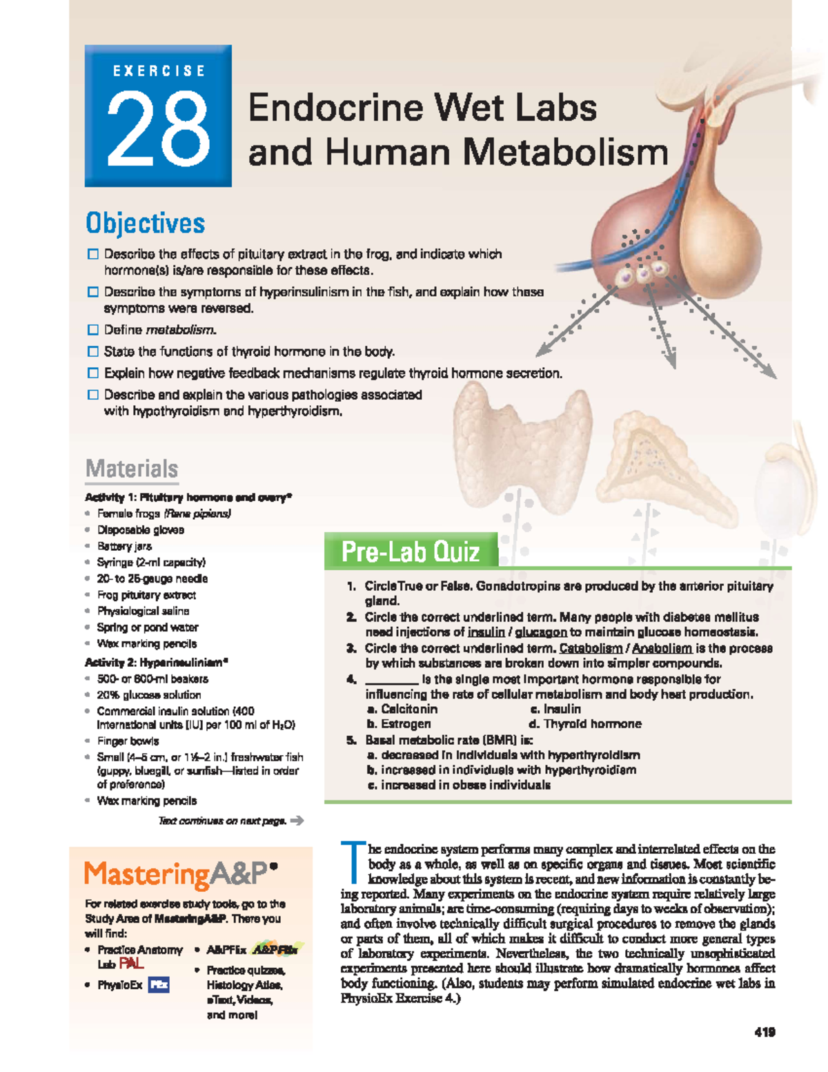 Lab Guide for Endocrine and Human Metabolism (Marieb 12th ed) - Studocu