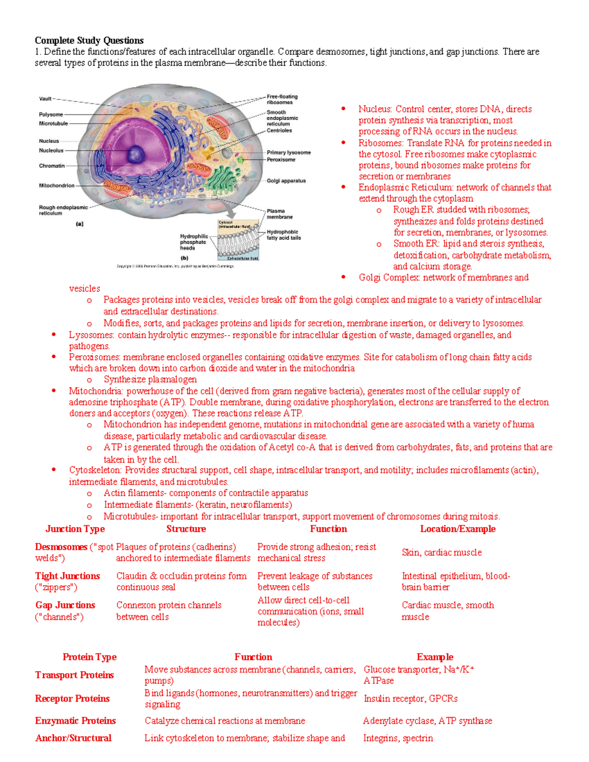 Understanding Cellular Transport Mechanisms: Active & Passive Types (BIO 101) - Studocu