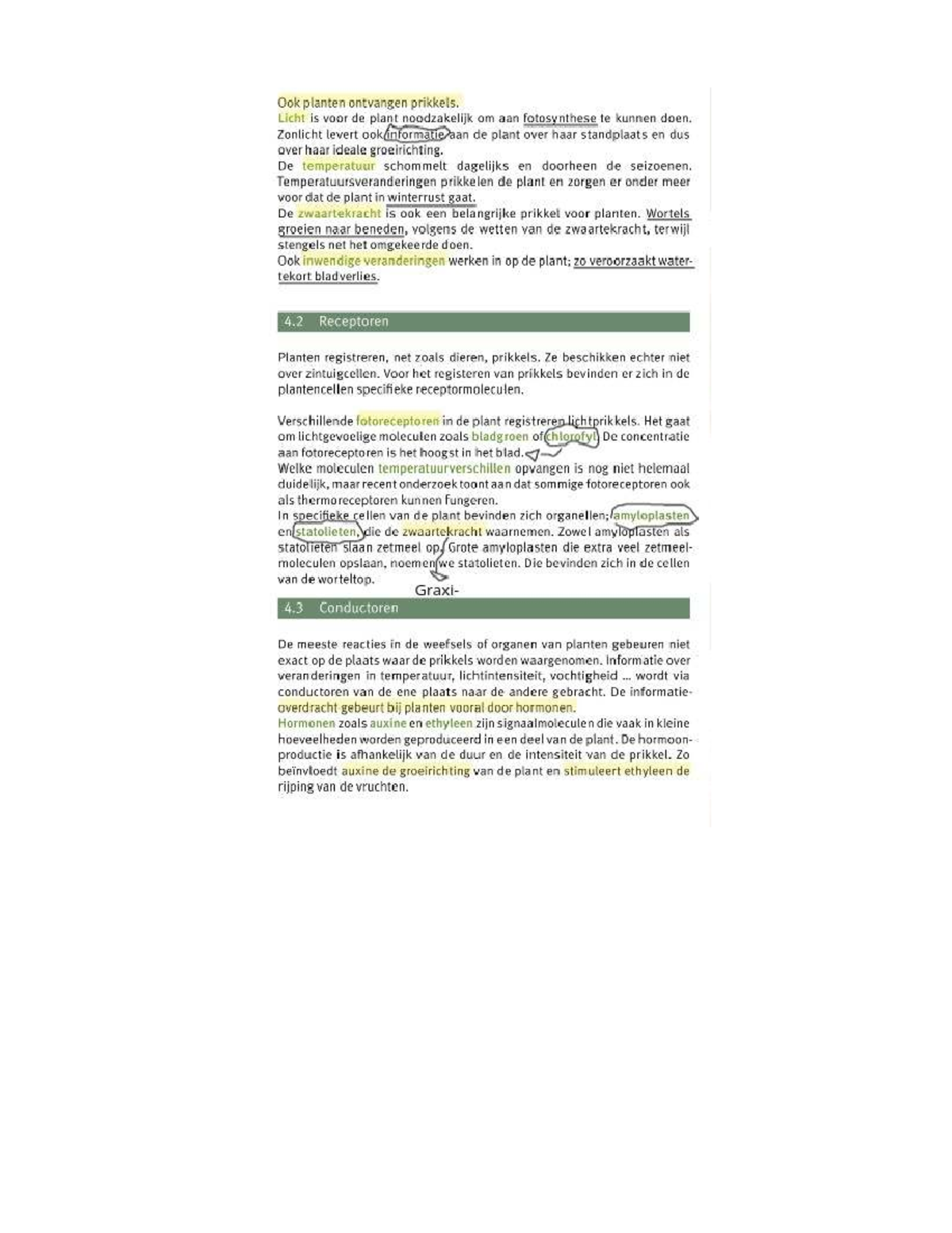 Final Exam Study Guide: Planten en Hun Prikkels [Insert Course Code Here] - Studocu