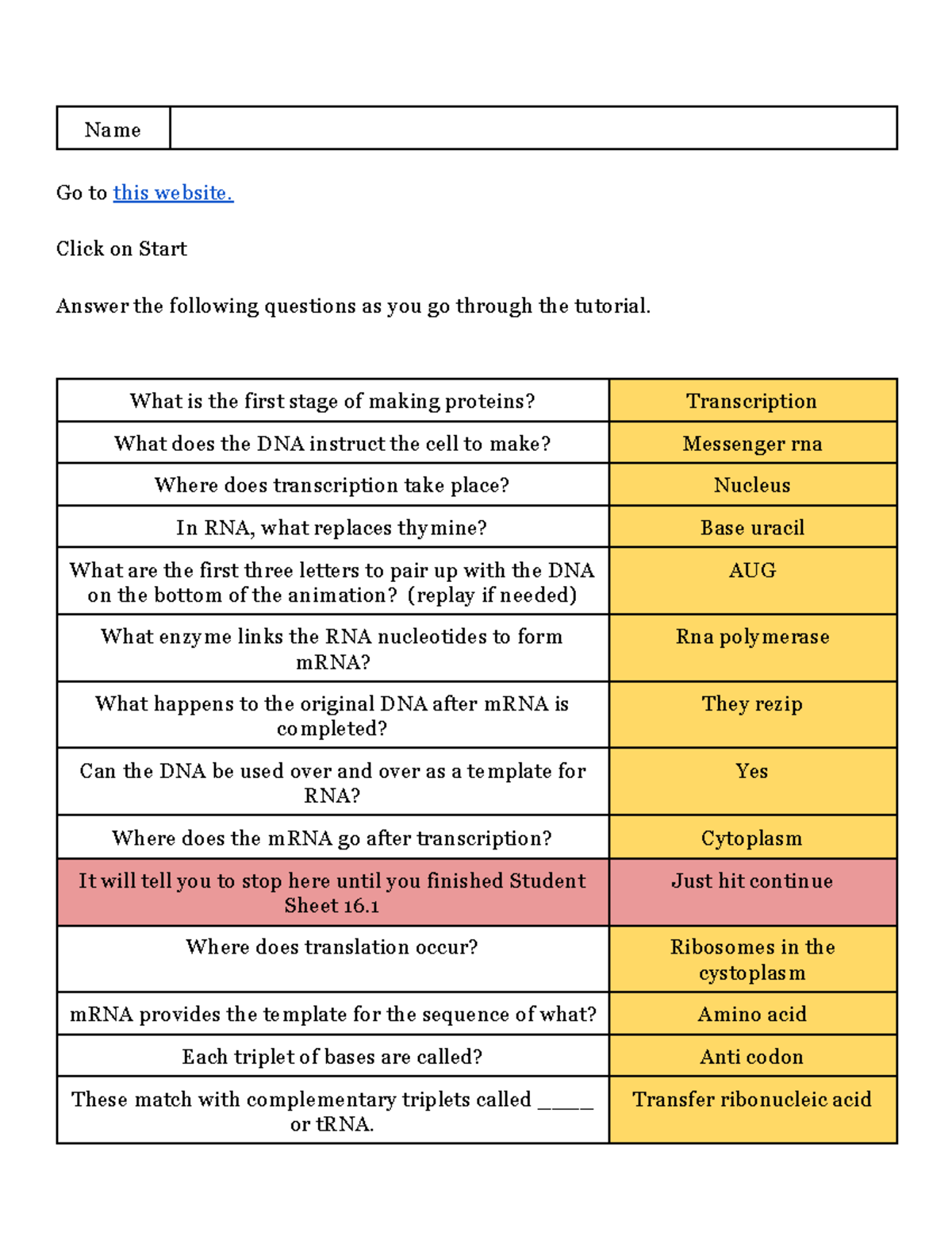 Biology 101: Transcription & Translation Activity Guide - Studocu