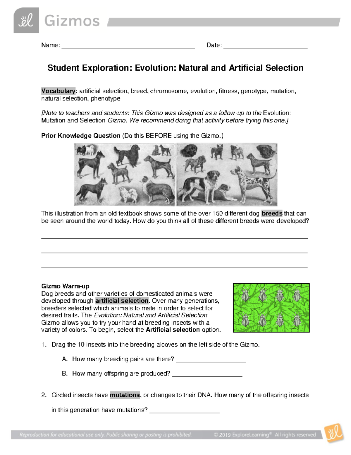 Evolution: Natural and Artificial Selection SE Activity Guide - Studocu