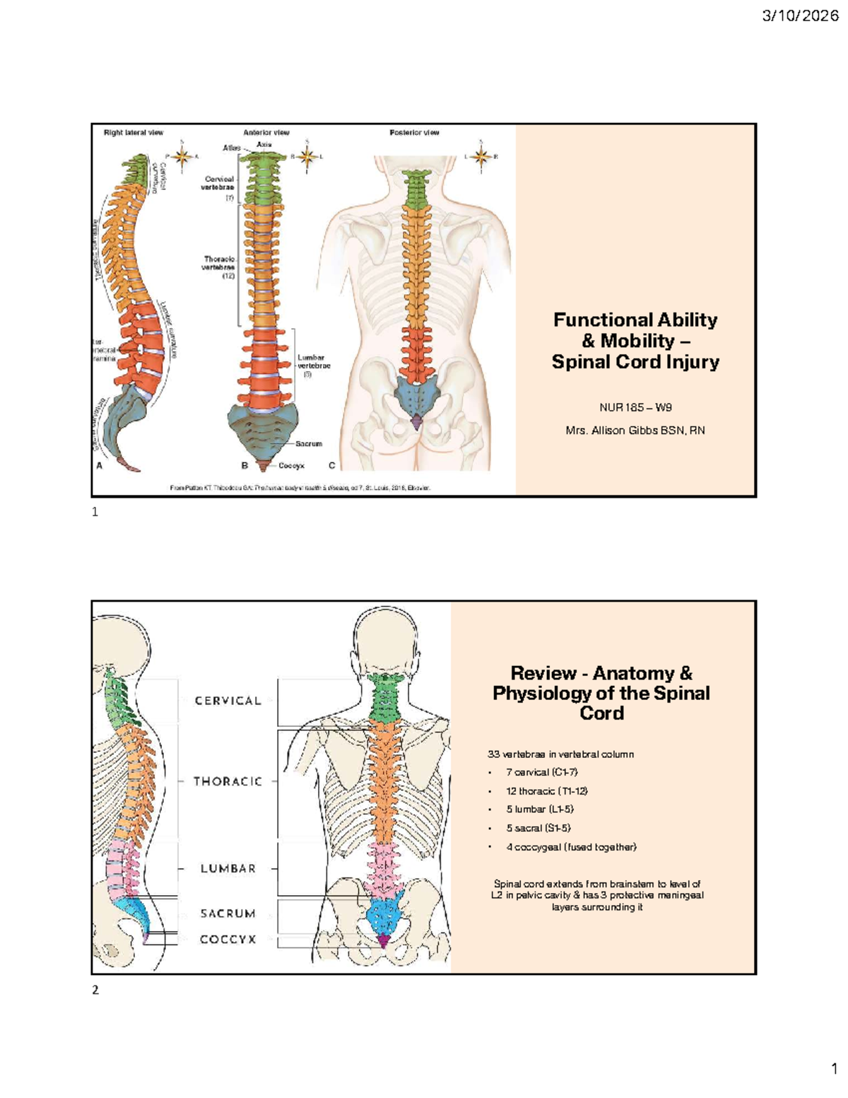 W9 - Functional Ability & Mobility in Spinal Cord Injury NUR 185 - Studocu