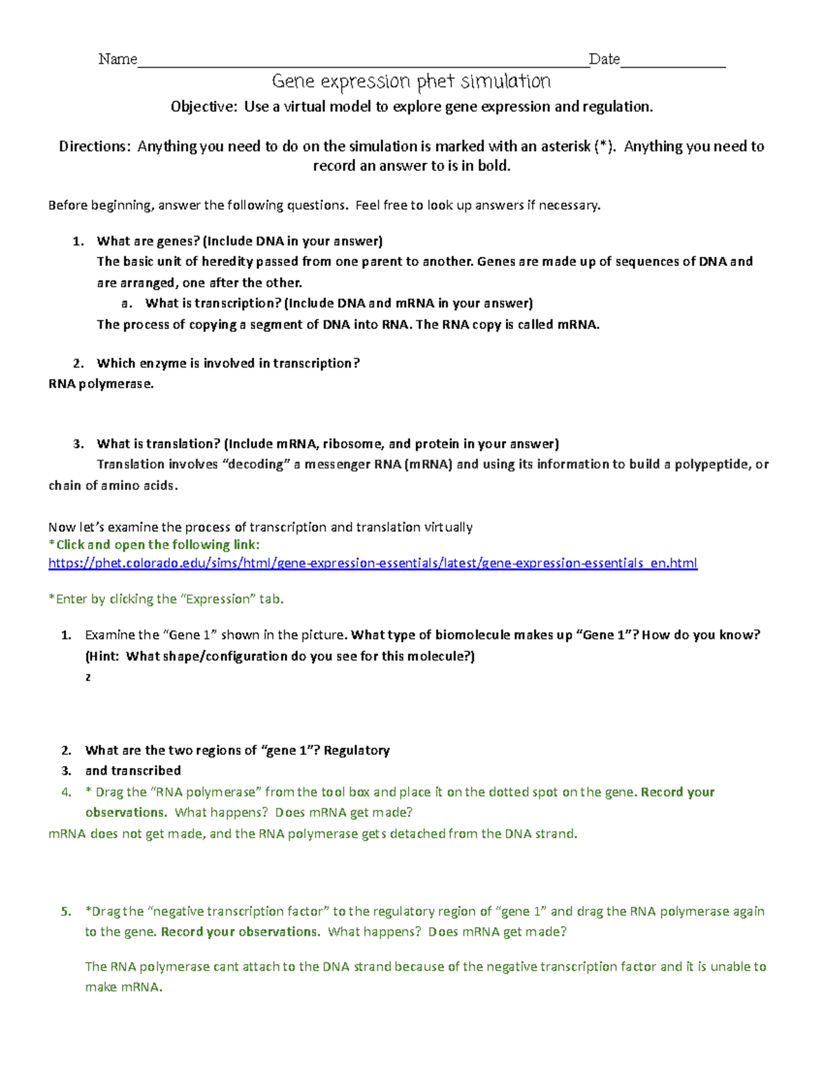 Gene Expression Simulation Guide - Madi Owen - Studocu
