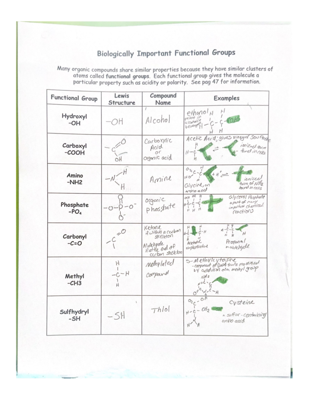 Biologically Important Functional Groups Overview for Organic Compounds ...
