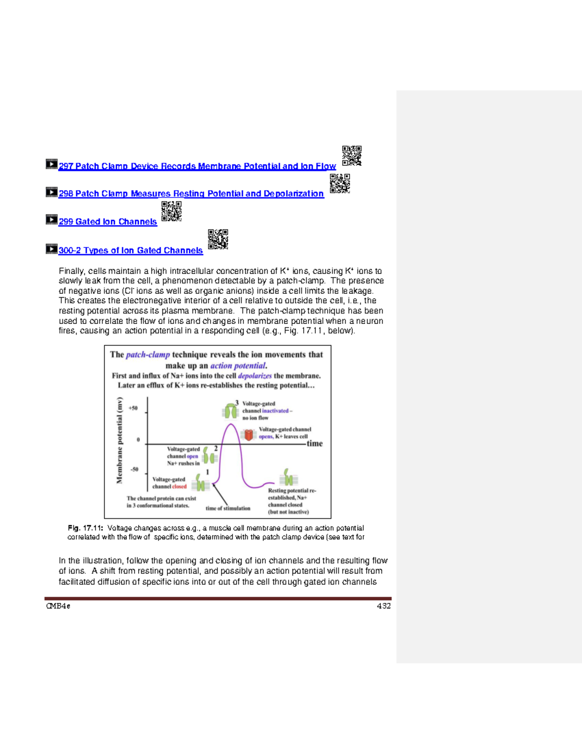 Cell & Molecular Bio (CB 01): Patch-Clamp Techniques & Ion Channels ...