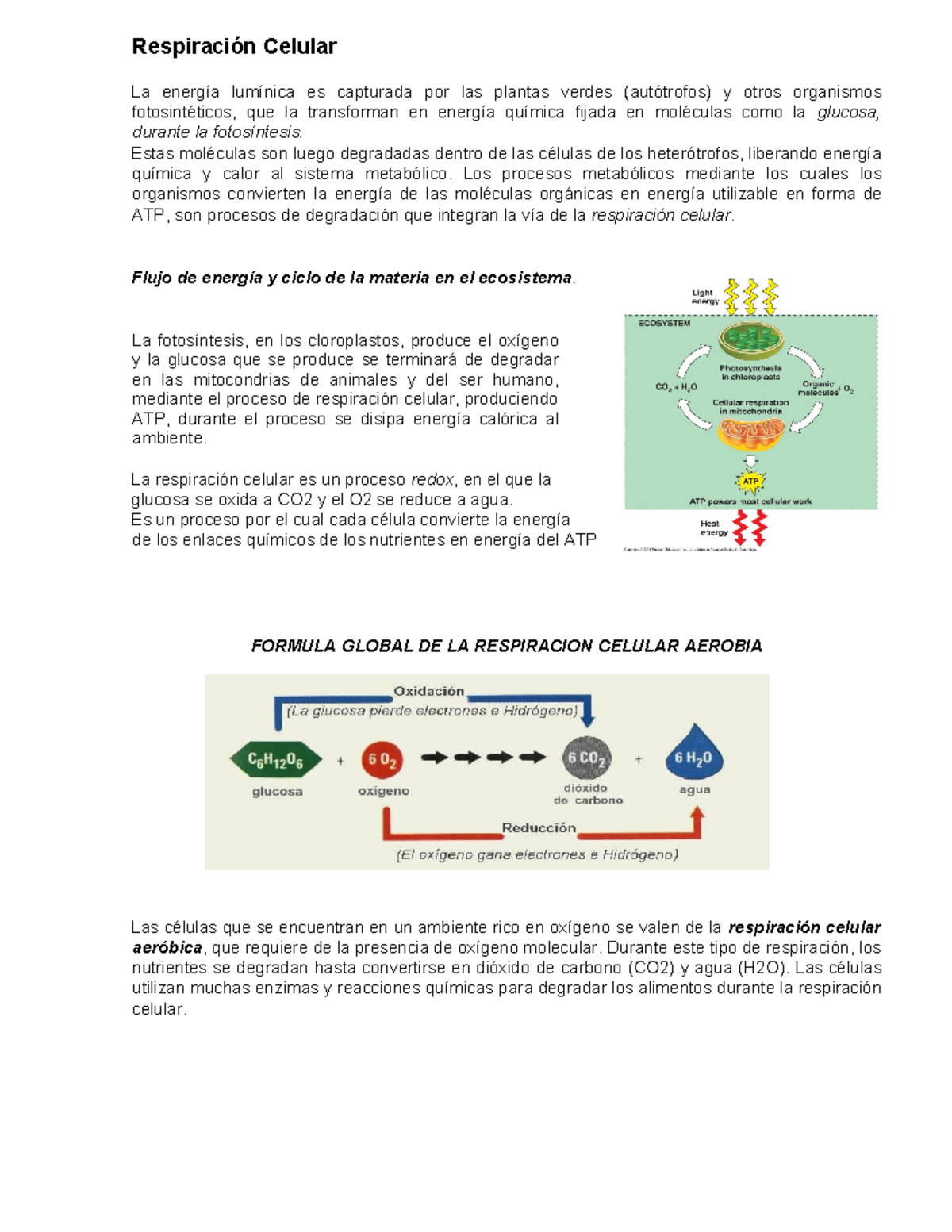 Resumen sobre Respiración Celular (Biología 101) - Studocu