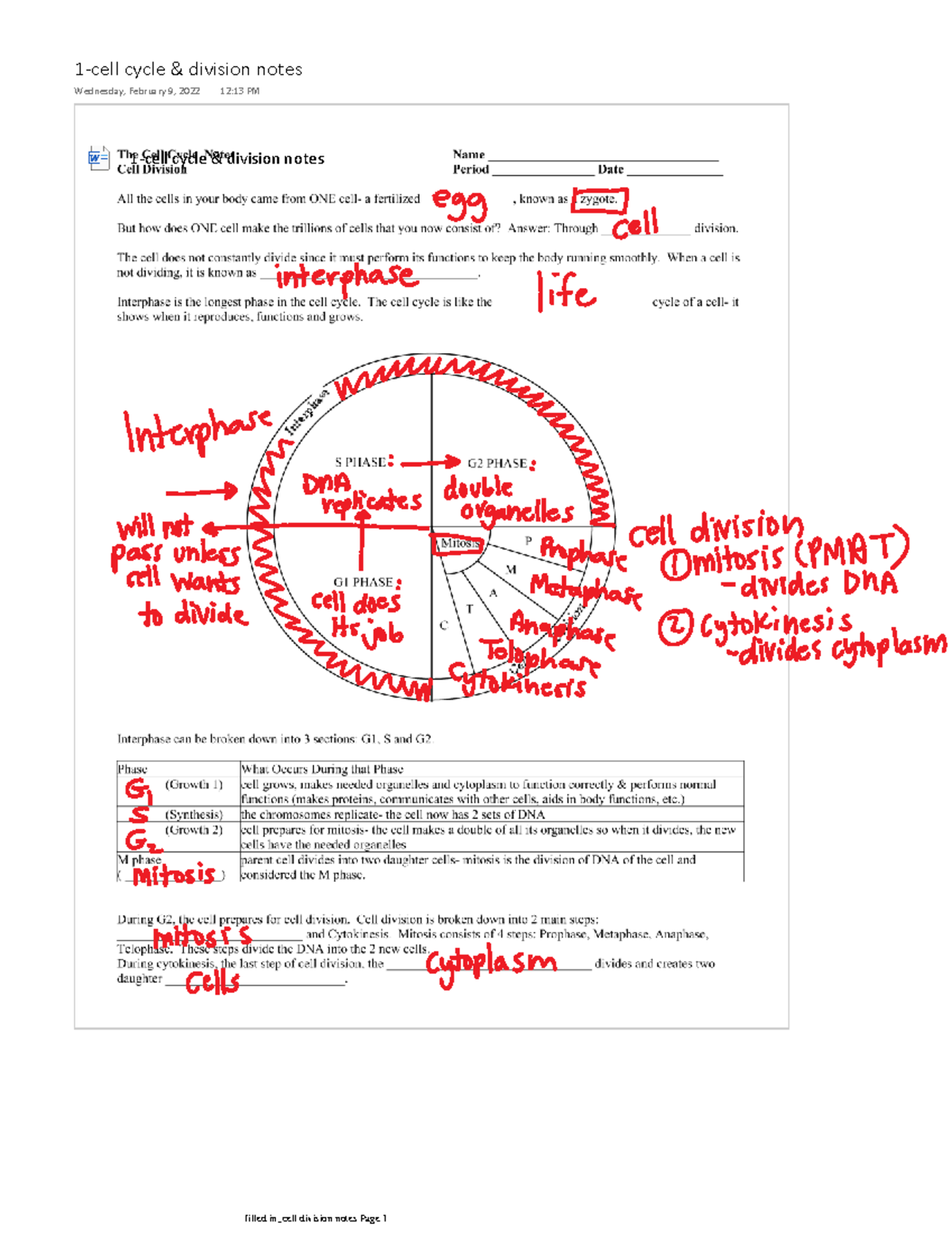 Cell Cycle & Division Notes - Biology 101 Lecture Materials - 1-cell ...