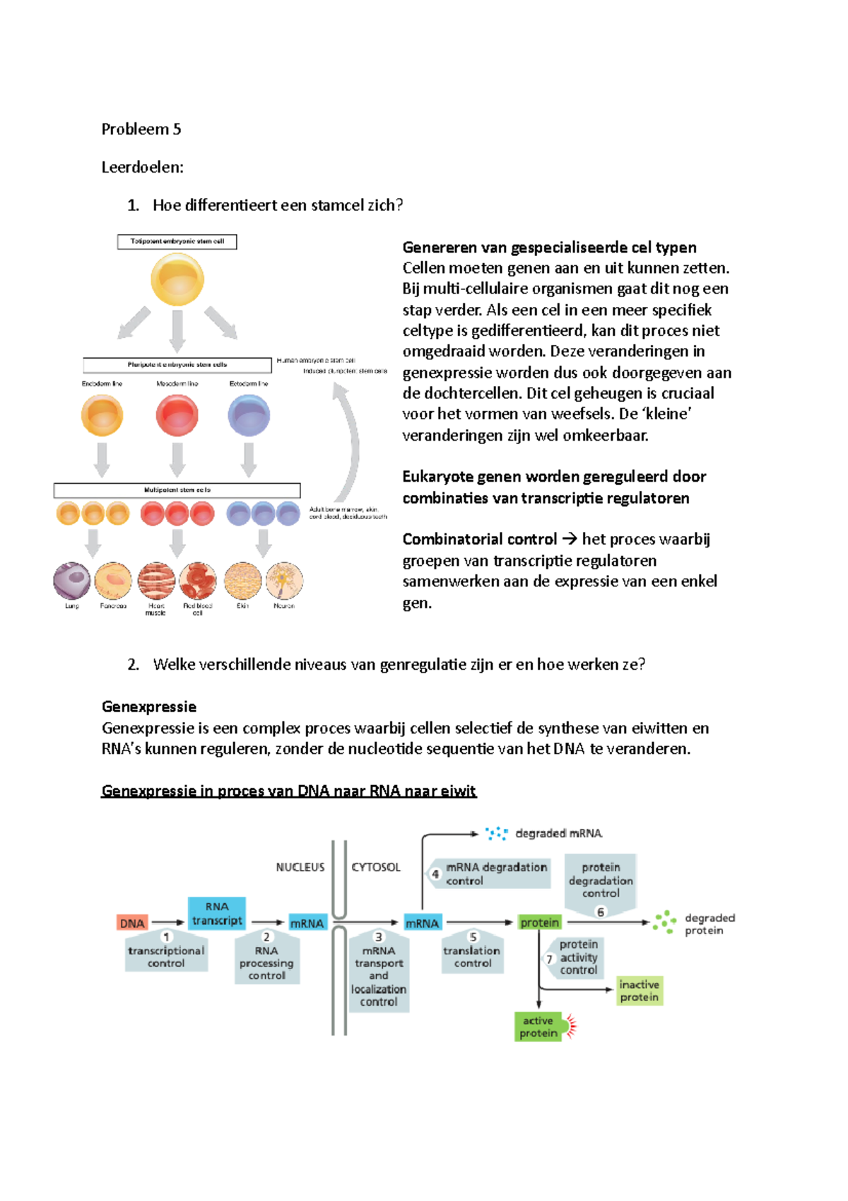 Probleem 5 - Uitwerking van Casus 5: Genregulatie en Transcriptie ...