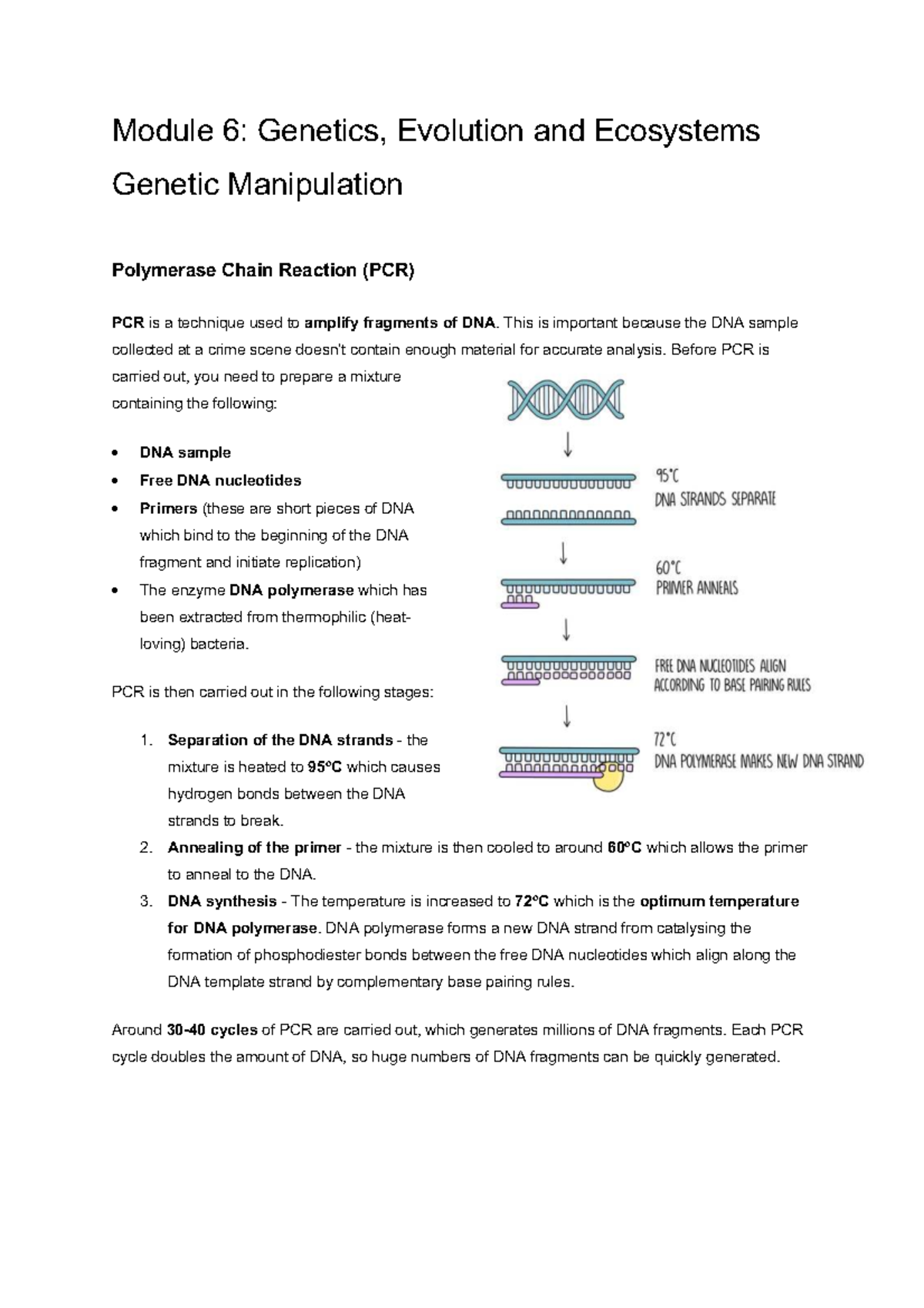 Module 6: Genetic Manipulation and PCR Techniques - Studocu