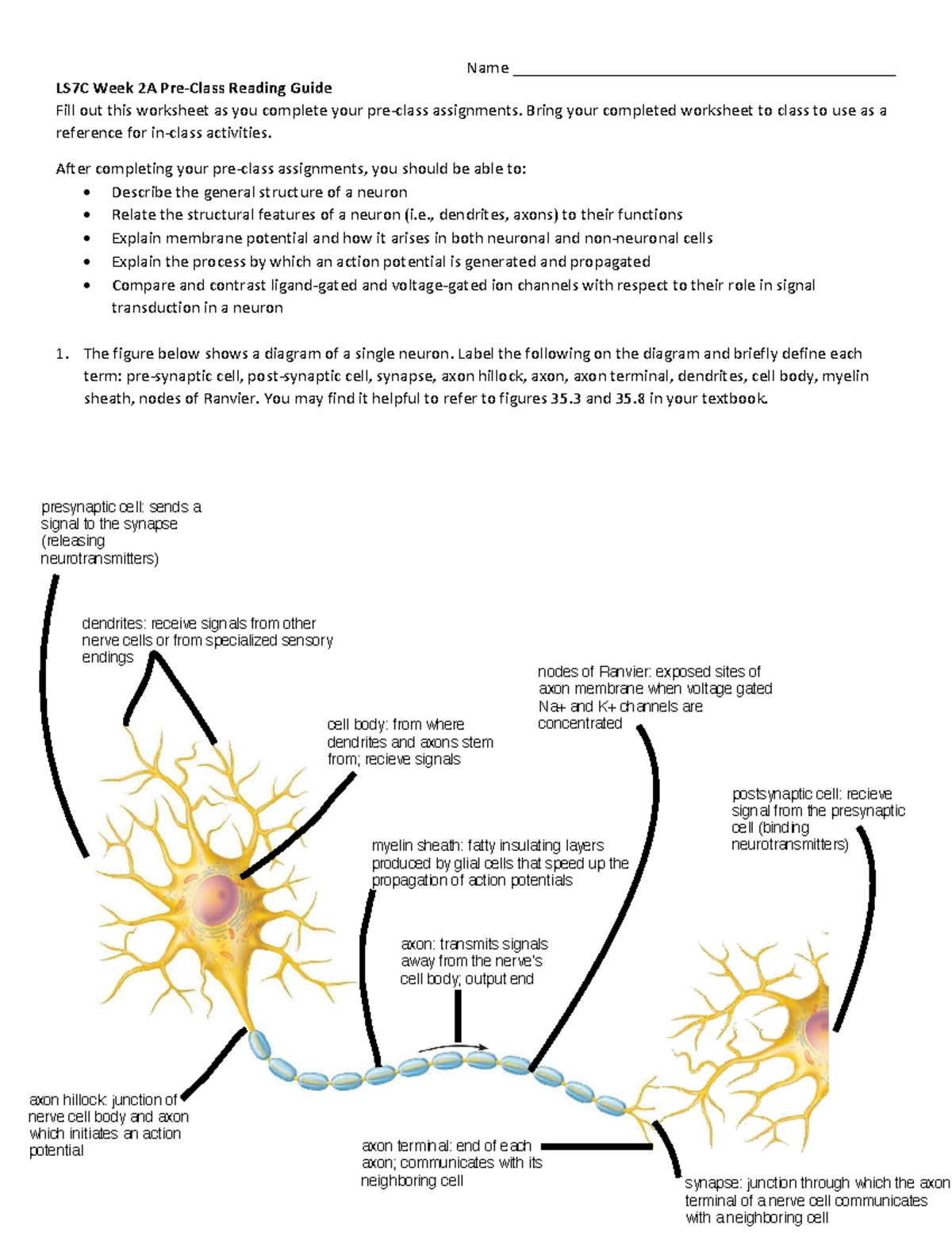 LS7C Week 2A Pre-Class Reading Guide on Neuron Structure and Function ...