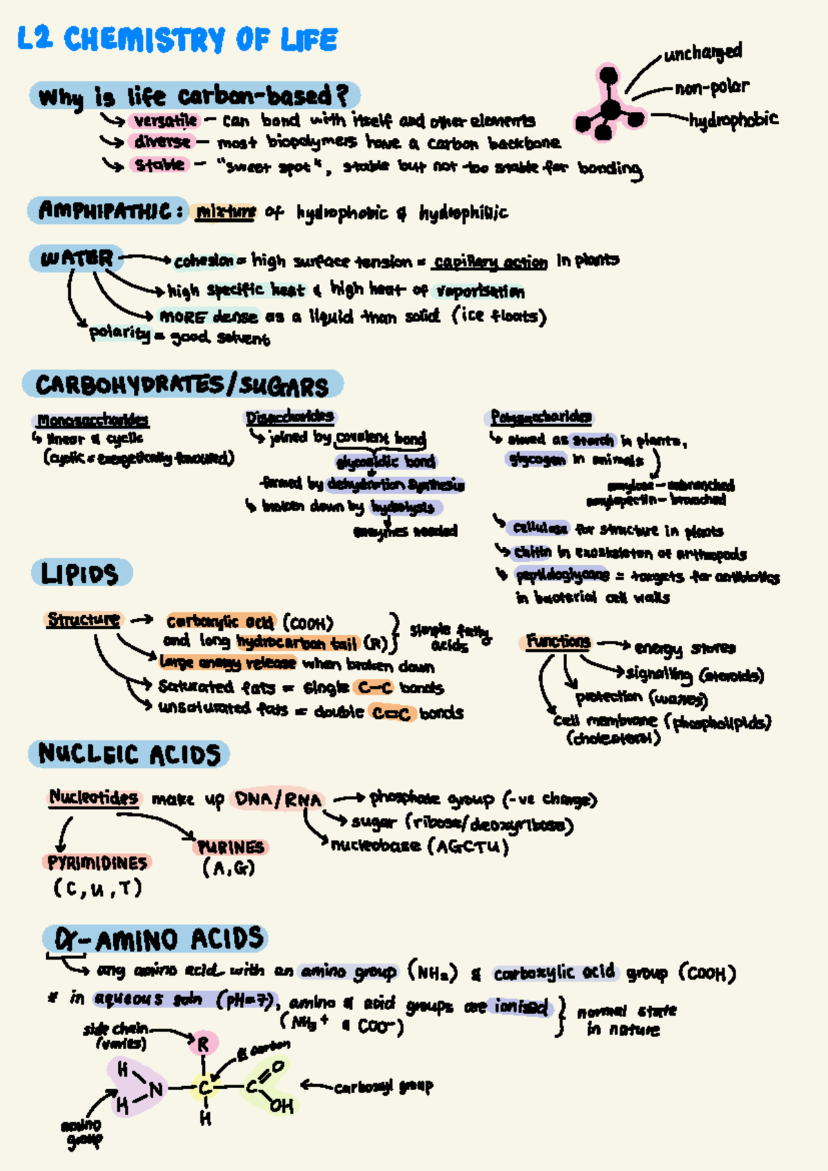 B1OL1007 Lecture 2 Summary: Chemistry of Life Concepts - Studocu