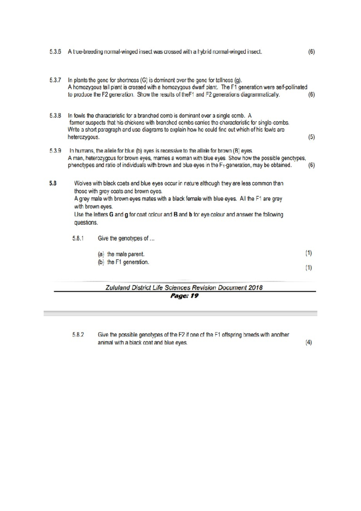 Hybrid Crosses 5 - Genetics Activity Practice (LSC 101) - Studocu