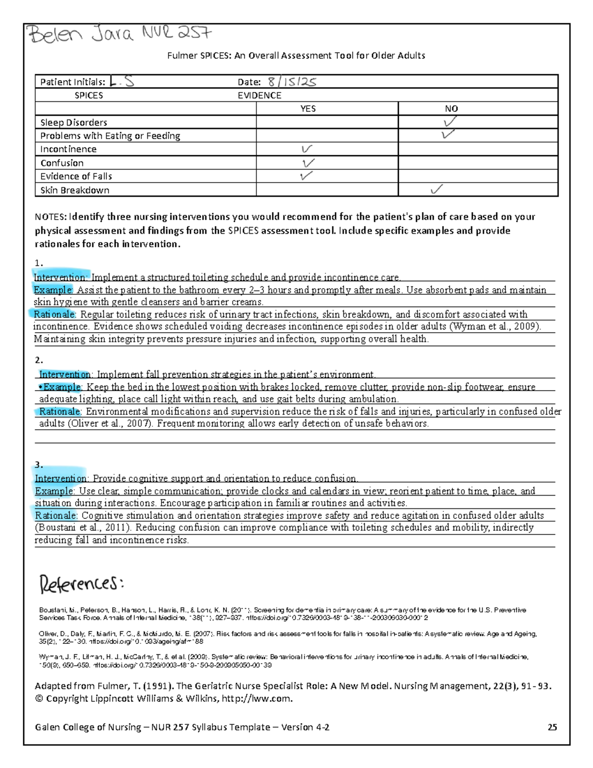SPICES Assessment Tool for Older Adults: Nursing Interventions NUR 257 ...