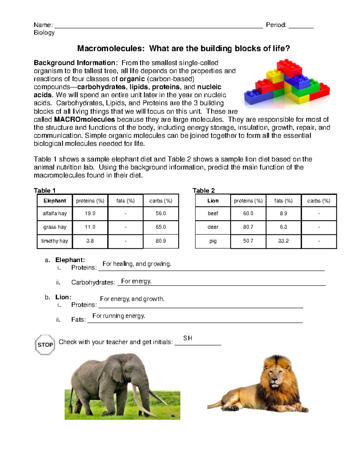 Biology 101: Macromolecules of Life - Building Blocks of Organisms ...