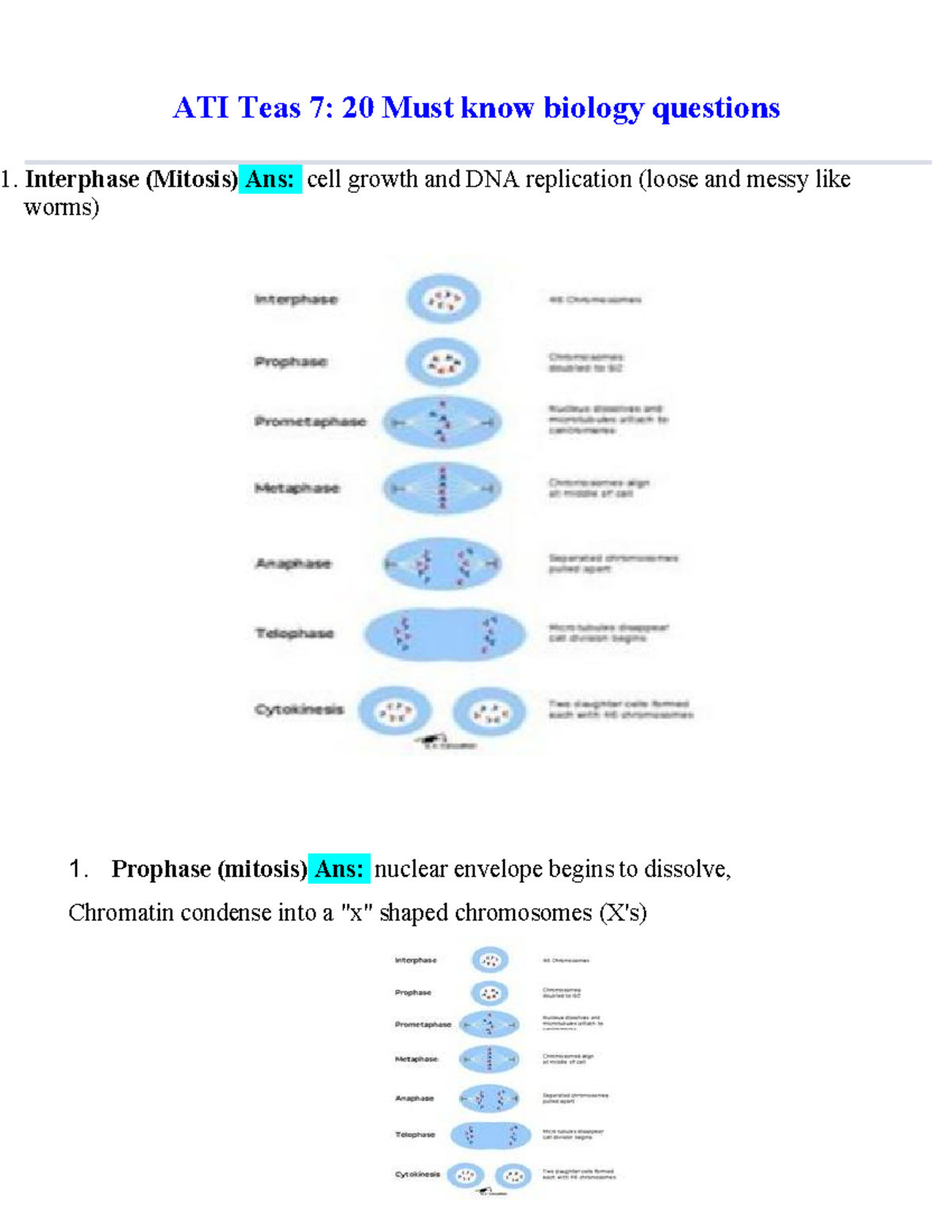 R10 ATI Teas 7: 20 Essential Biology Questions for Exam Prep 2024/2025 ...