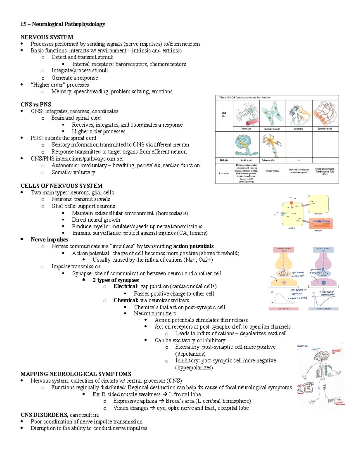 15 - Neurological Pathophysiology: Understanding the Nervous System ...