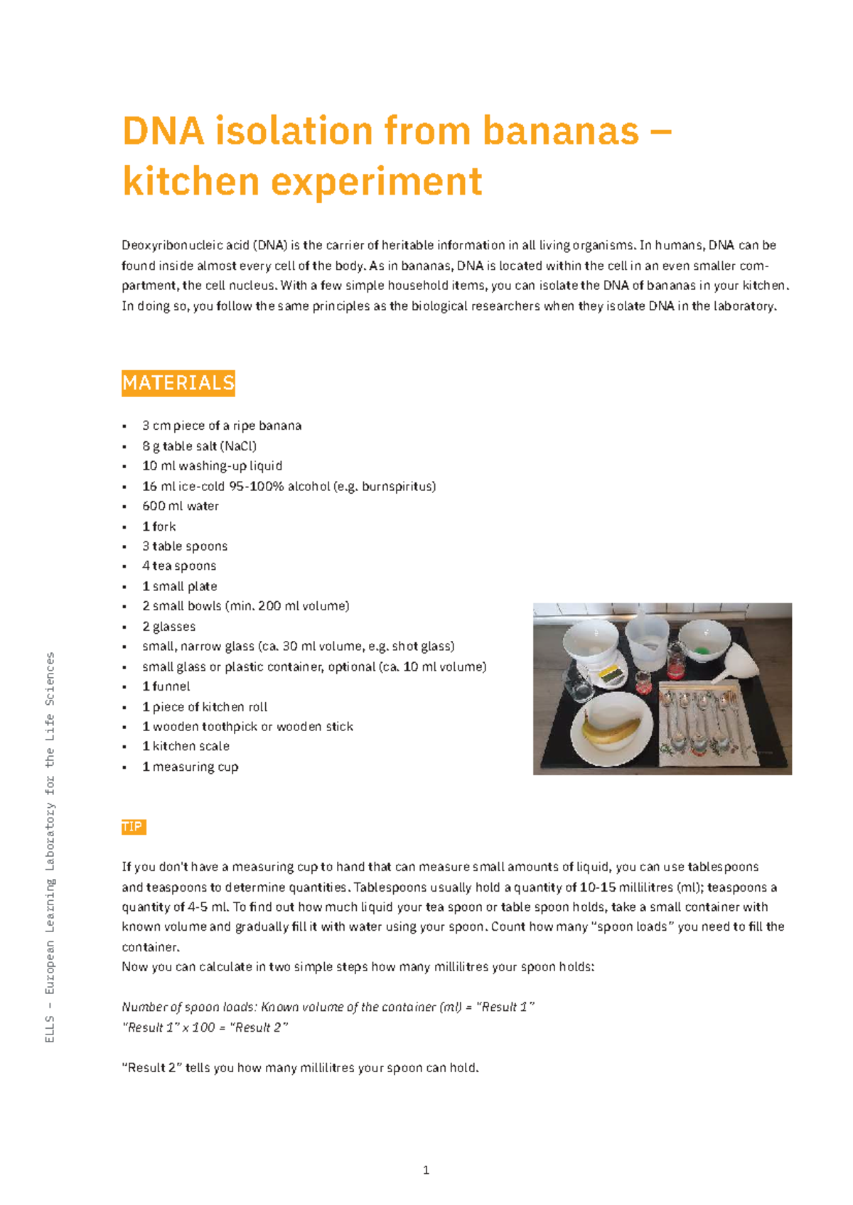 DNA Isolation from Bananas: Kitchen Experiment Guide ELLS 2020 - Studocu