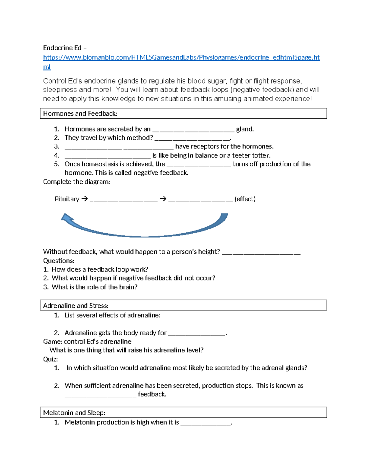 Endocrine Ed Worksheet: Hormonal Control & Feedback Loops - Studocu
