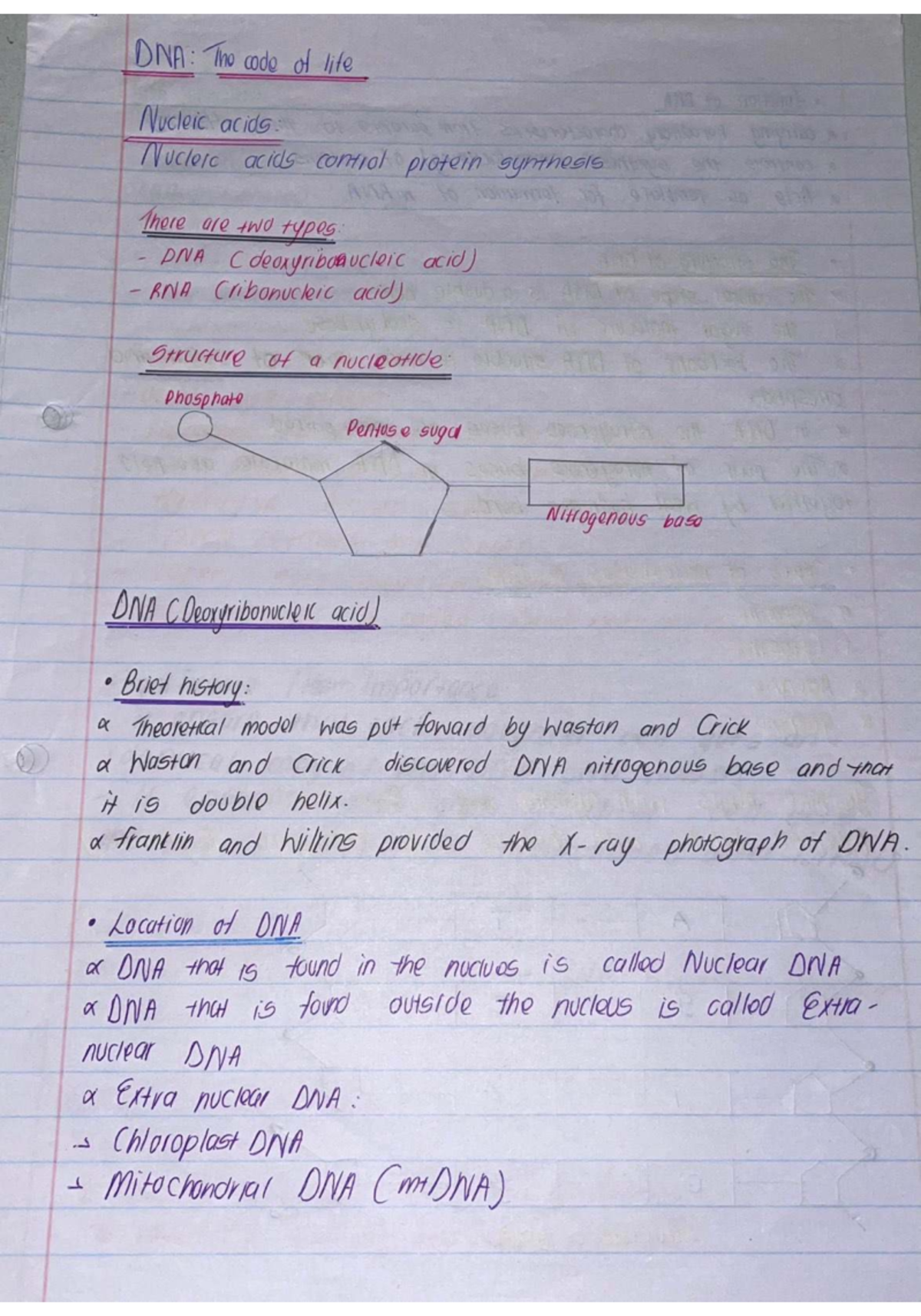 DNA : The code of life notes - DNA: Tho code of life Nucleic acids ...