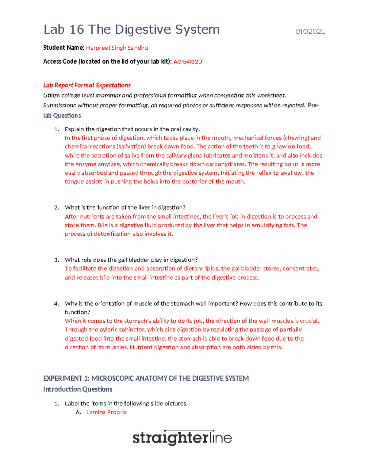 BIO202 Lab 16 - Digestive System Investigation Report - Studocu