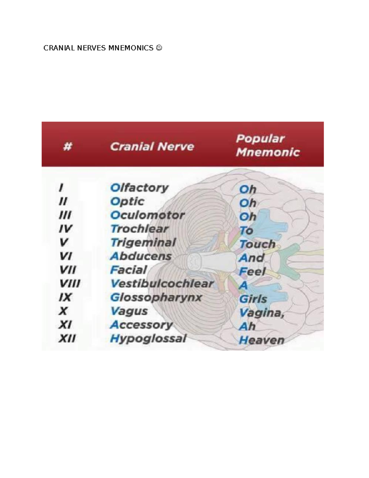 Cranial Nerves Mnemonics - Nursing - Studocu
