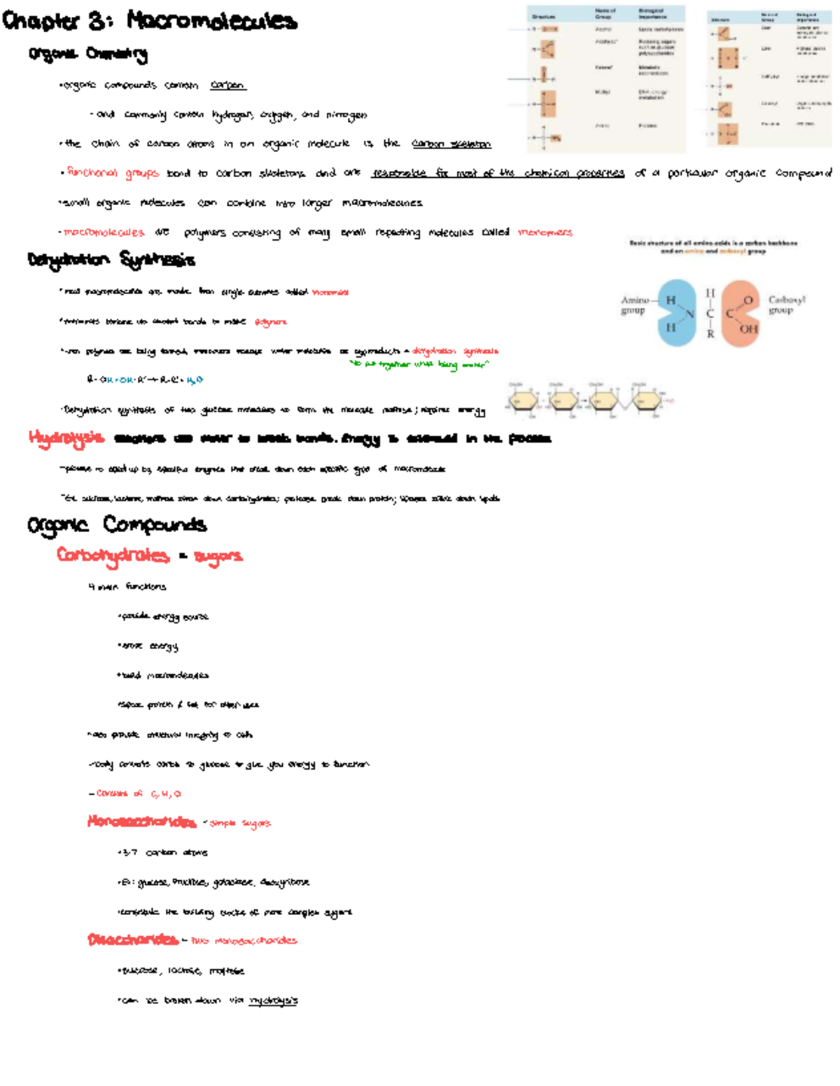 Organic Chemistry: Chapter 3 - Macromolecules & Their Functions - Studocu