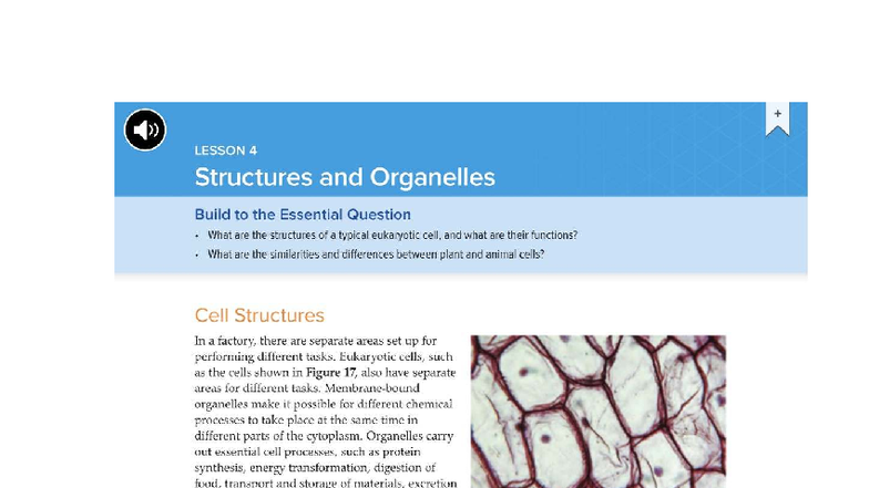 Lesson 4: Structures and Organelles of Plant & Animal Cells (SC.912.L ...