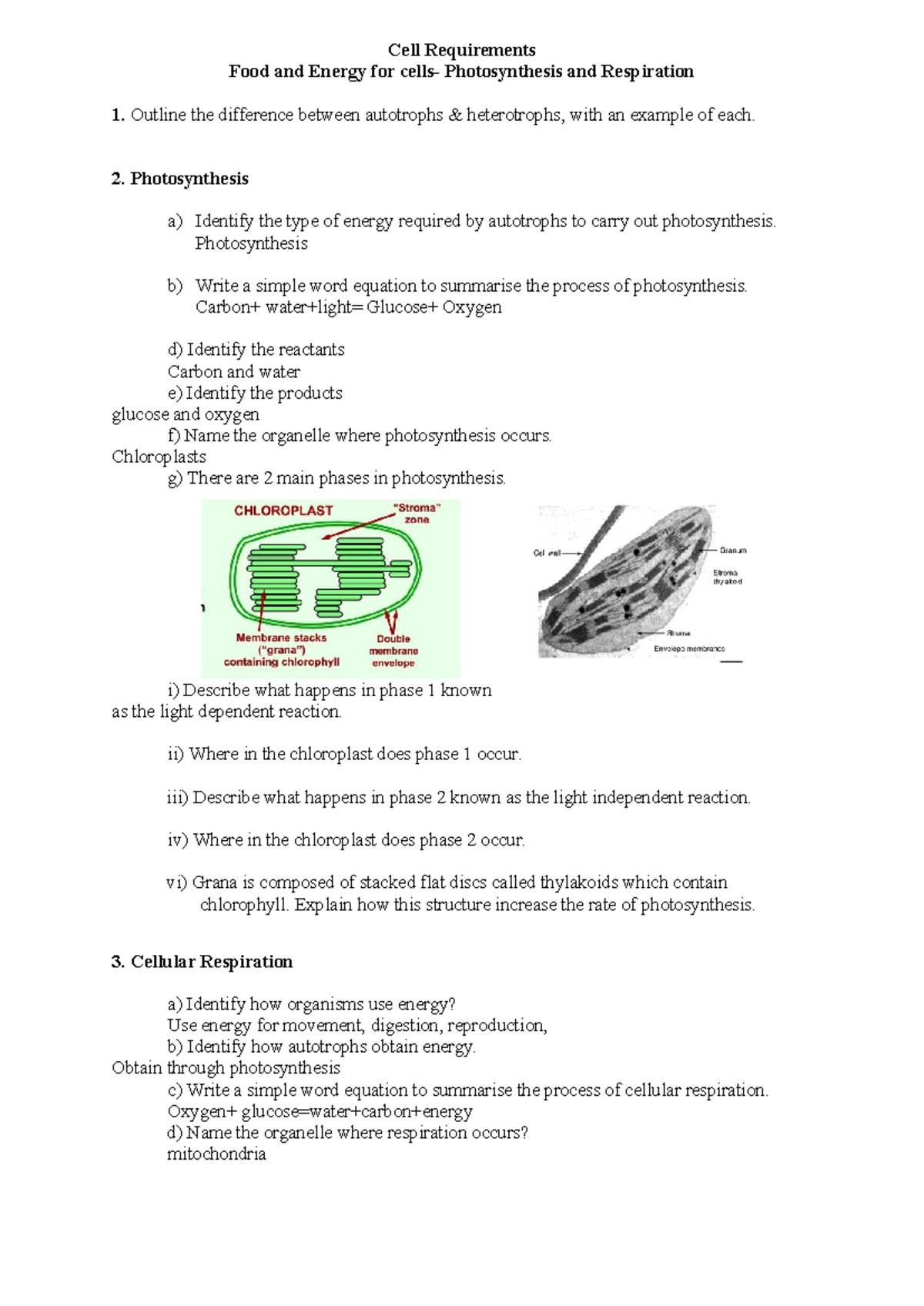 141911 Mar2026: Photosynthesis & Respiration Functions Explained - Studocu