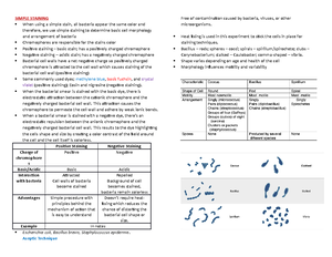 [Solved] Differentiate between animate and inanimate objects ...