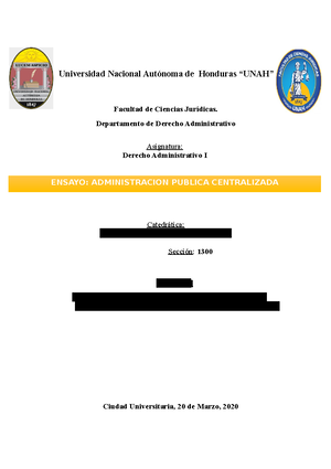 Formulario 410 PJ B - SAR-410-PJ-B Declaración Número IDENTIFICACIÓN DEL OBLIGADO TRIBUTARIO 1 ...