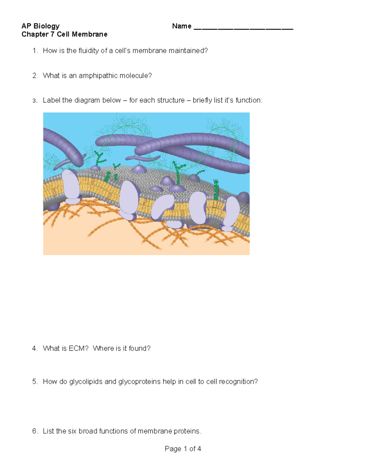 Chap7 Osmosis and diffusion guidedreading - AP Biology Name ...