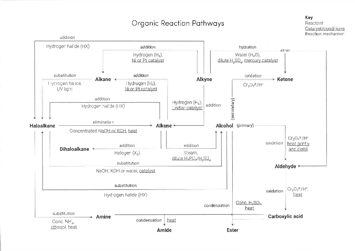 Organic Reaction Pathways Worksheet: Key Mechanisms & Reagents - Studocu