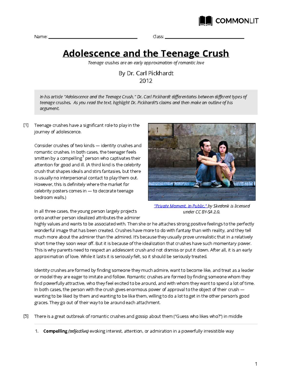 Adolescence and Teenage Crushes: Key Insights and Analysis - Teacher 12 ...