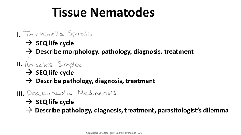 #11 Tissue Nematodes: Trichinella & Anisakis Life Cycle, Pathology ...