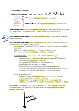 Exemple du format rapport de lab - 1 Exemple du format d’un rapport de ...