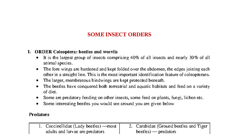 Insect Orders: Coleoptera Overview and Key Features - Studocu