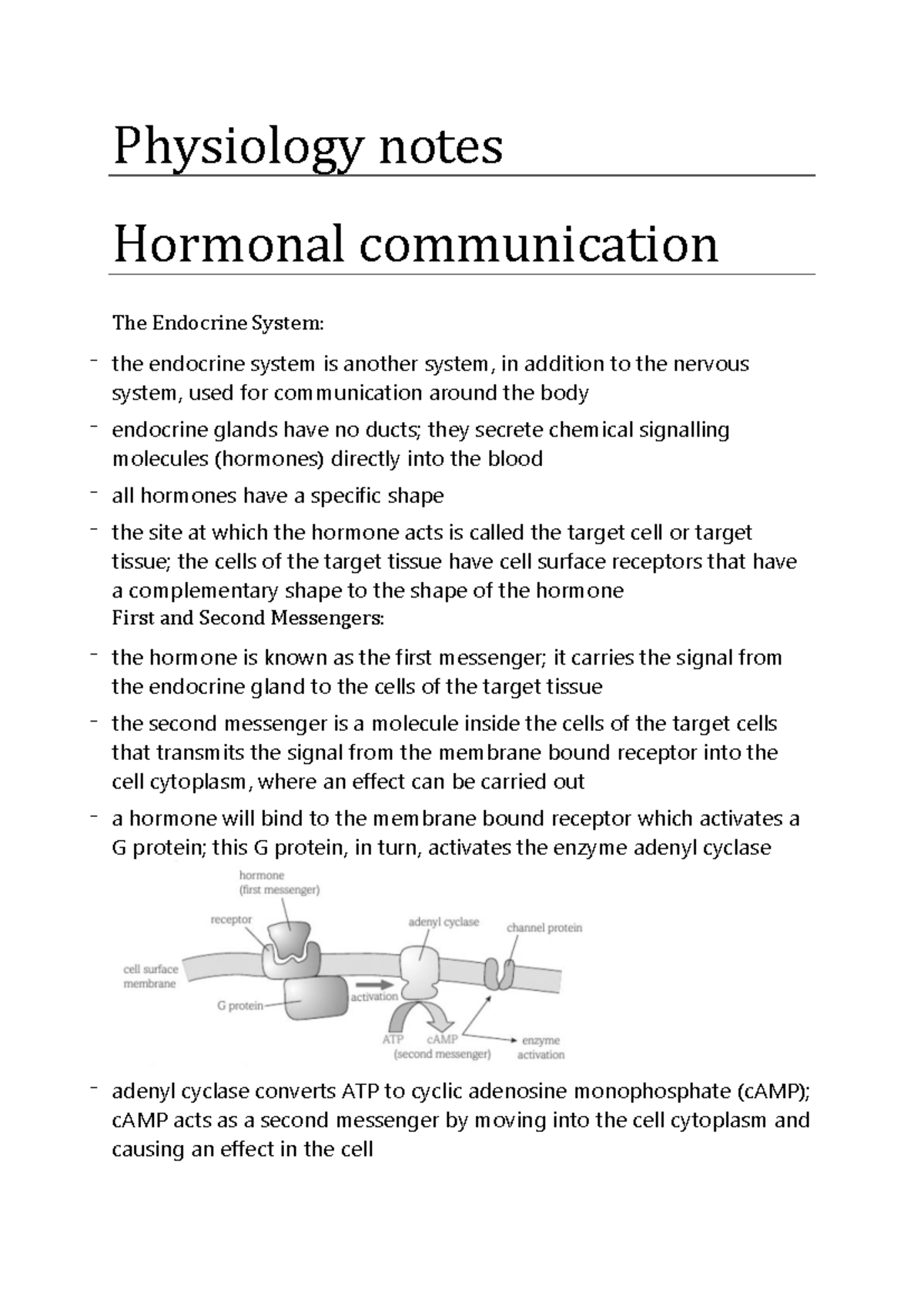 Intro to physiology - hormones - Physiology notes Hormonal ...