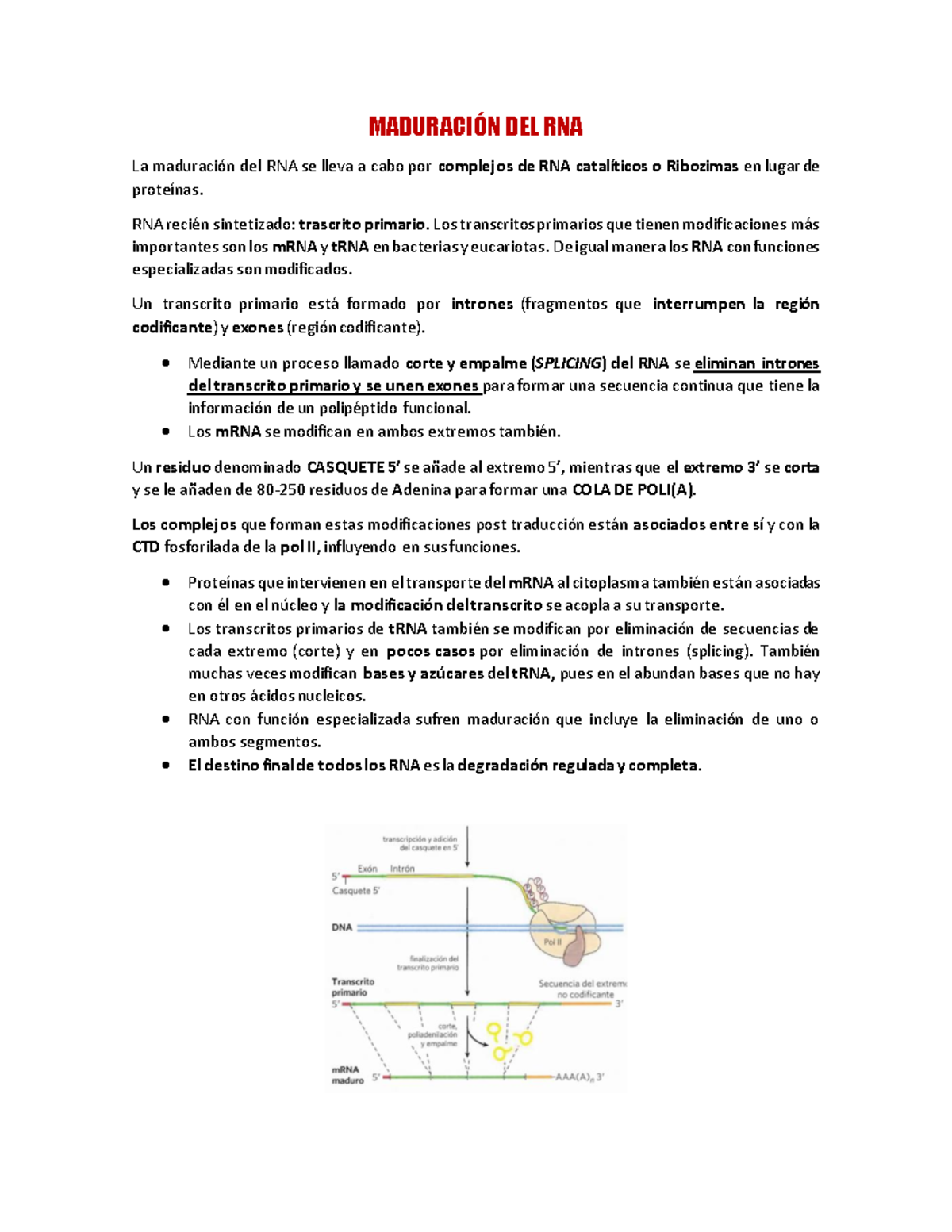 MADURACIÓN DEL RNA: Proceso de SPLICING y Modificaciones - Studocu