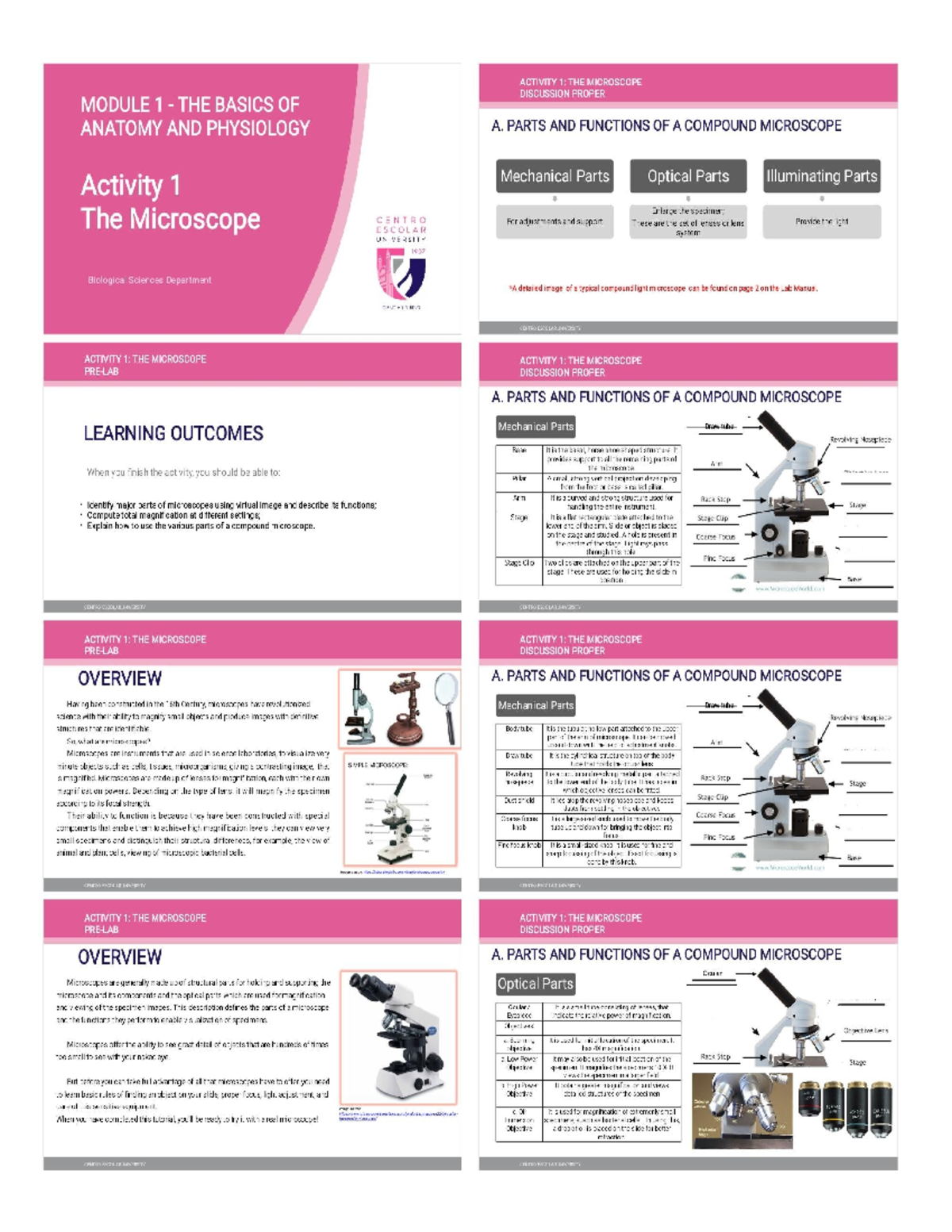 Anaphy Lab quiz rev - ACTIVITY 1: THE MICROSCOPE DISCUSSION PROPER ...