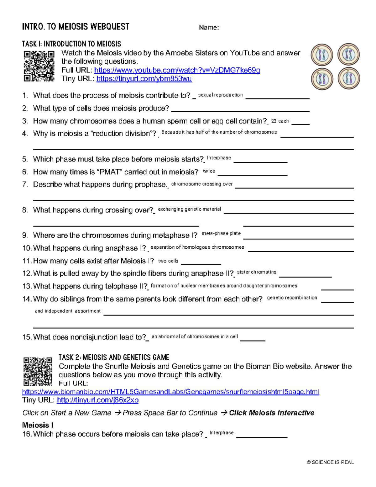 Kami Export - Amani Woodall - meiosis webquest.pdf.Kami - © SCIENCE IS ...