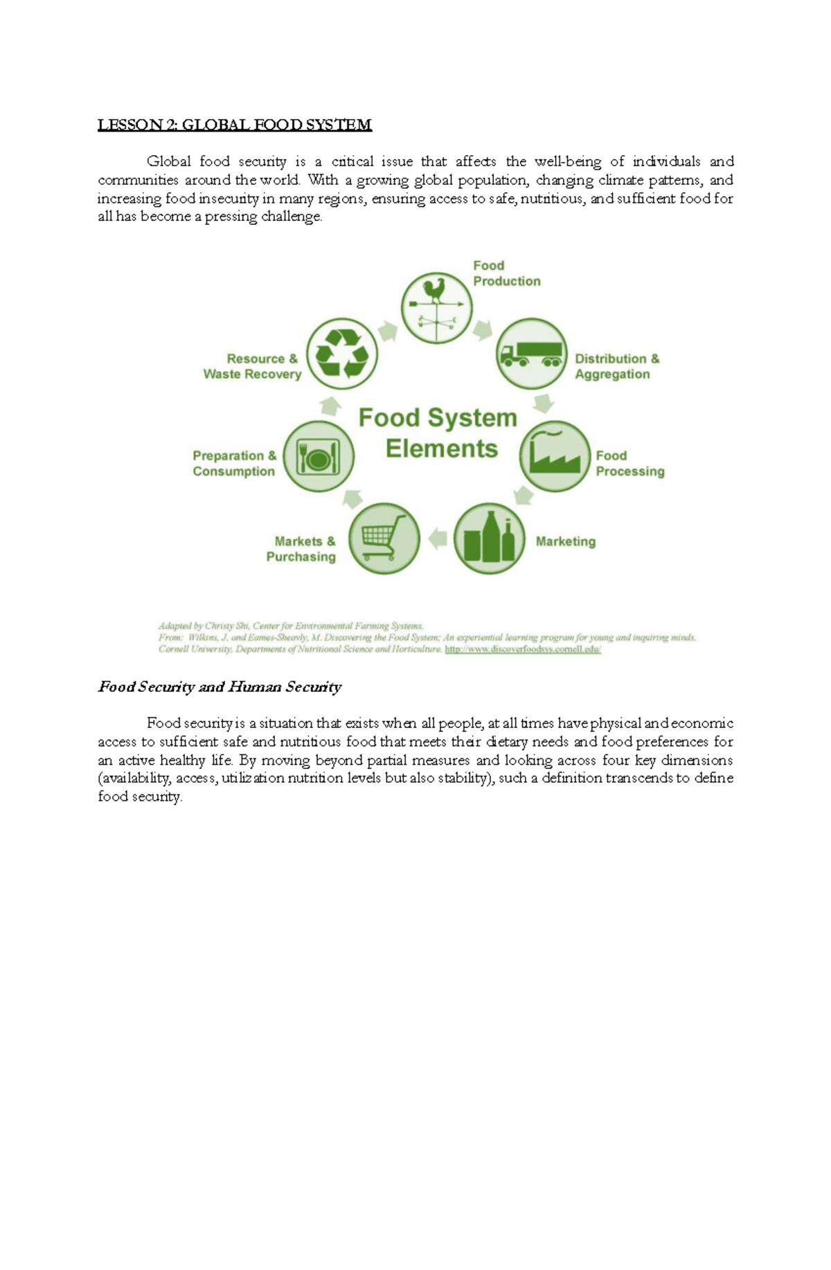 LESSON 2: GLOBAL FOOD SYSTEM - Understanding Food Security Challenges ...