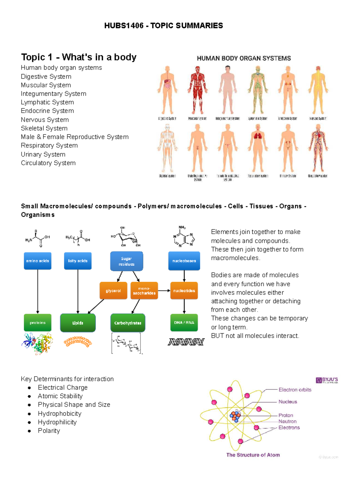 HUBS1406 - Comprehensive Topic Summaries on Human Body Systems and ...