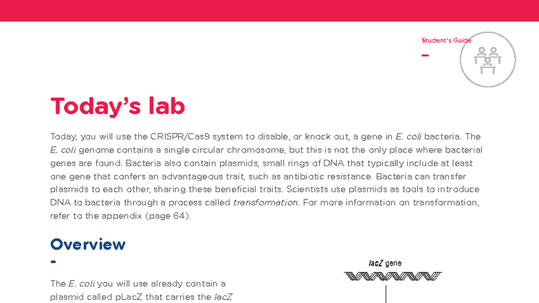 Crispr Lab Protocol: Gene Knockout in E. coli Experiment - Studocu