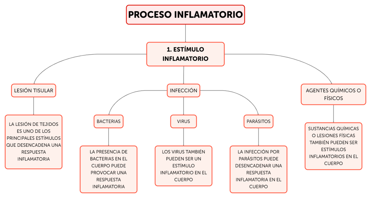 Proceso Inflamatorio - PROCESO INFLAMATORIO 1. ESTÍMULO INFLAMATORIO ...