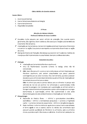 Digestório de equino - Aula completada - SISTEMA DIGESTIVO DO EQUINO ...