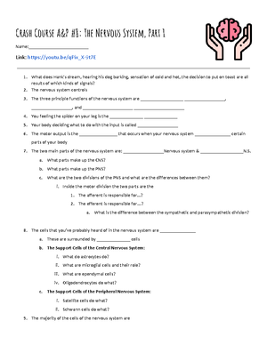 Chapter 4 Body Structure - Chapter 4: Body Structure Body Structure Key ...