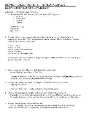 Comprehensive Guide to Human Anatomy and Physiology (BIO 101 ...