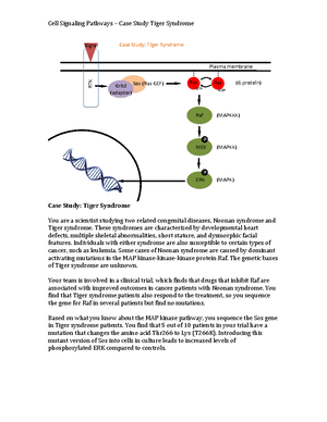 Candy Phylogeny – BIO 132H - Candy Phylogeny –from Joshua Drew, Ph ...